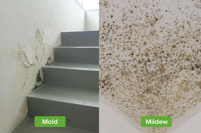 Maximise your Property Investment by Waterproofing Your New Home
