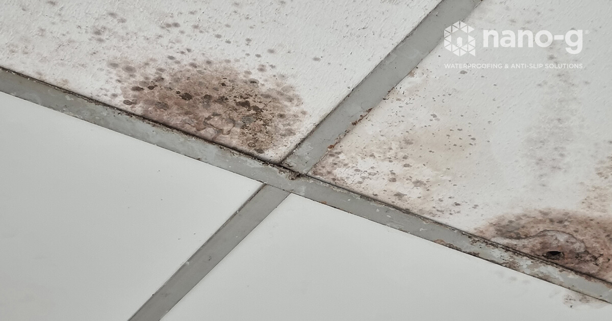 Hospital-Grade Waterproofing for Healthcare Facilities and Institutions